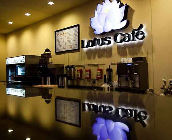 Lotus Café - M8trix